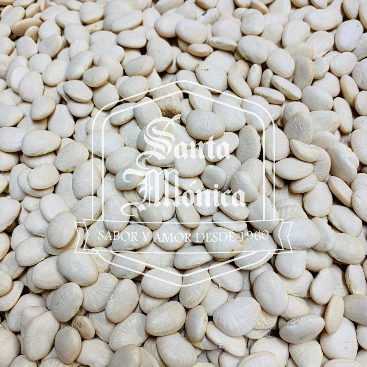 Porotos de manteca - Santa Mónica -Boutique de especias